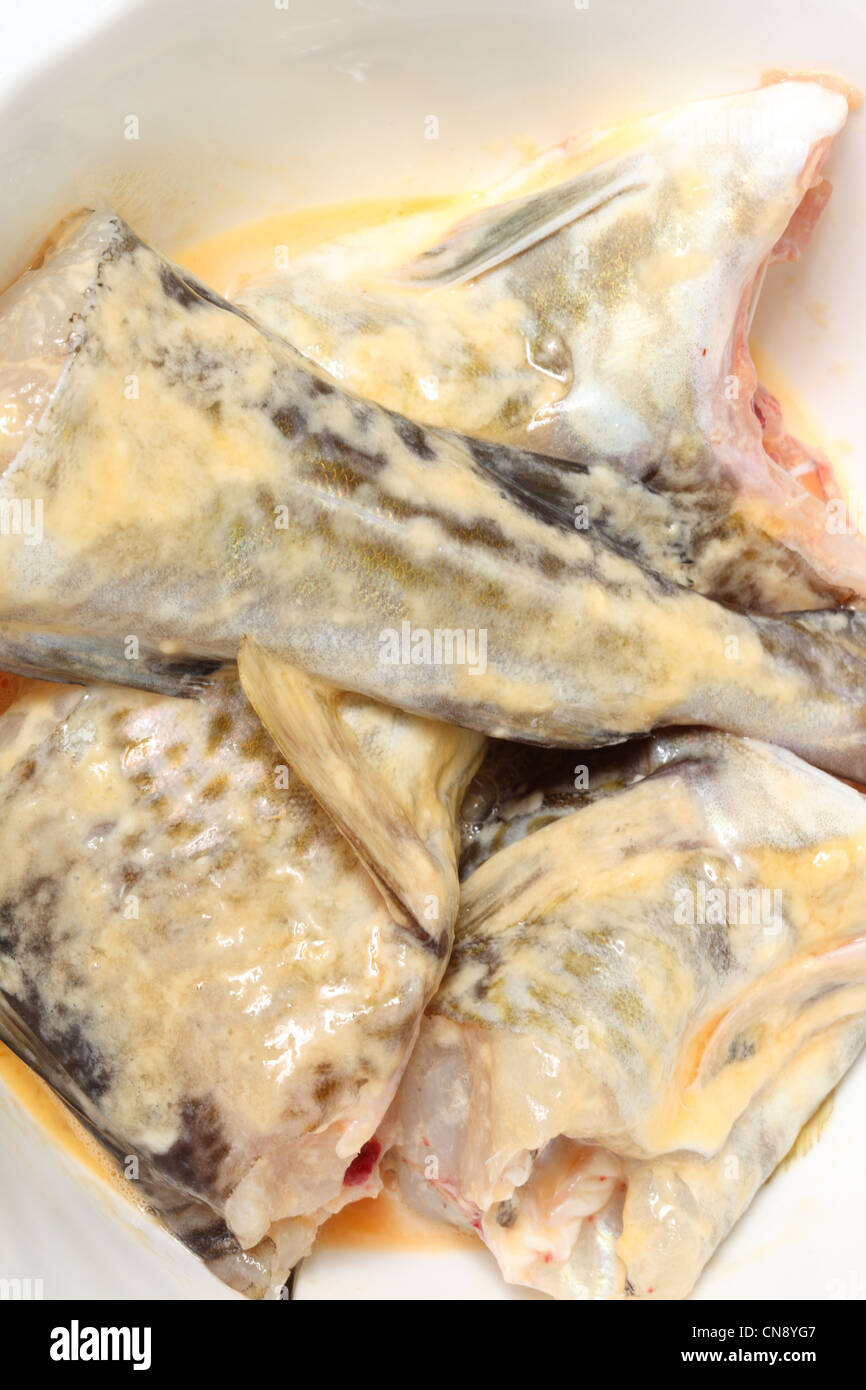 Raw cod fish fillets in kitchen on white background Stock Photo - Alamy