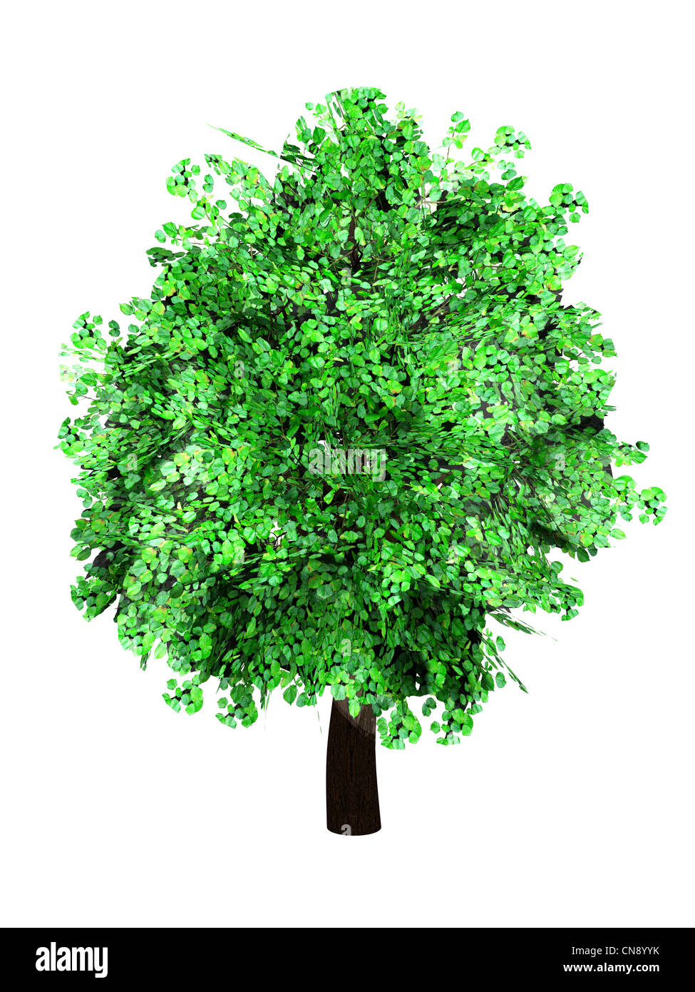 Lone Tree Clipart