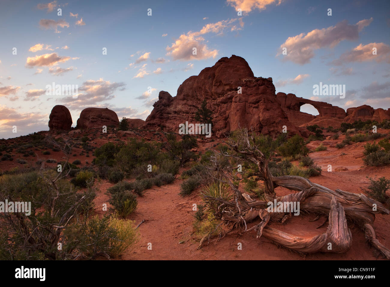 Skyline arch sunset desert hi-res stock photography and images - Alamy