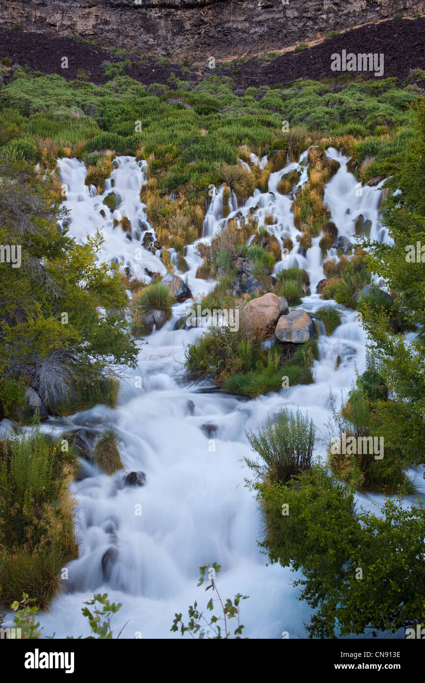 Niagara springs hi-res stock photography and images - Alamy