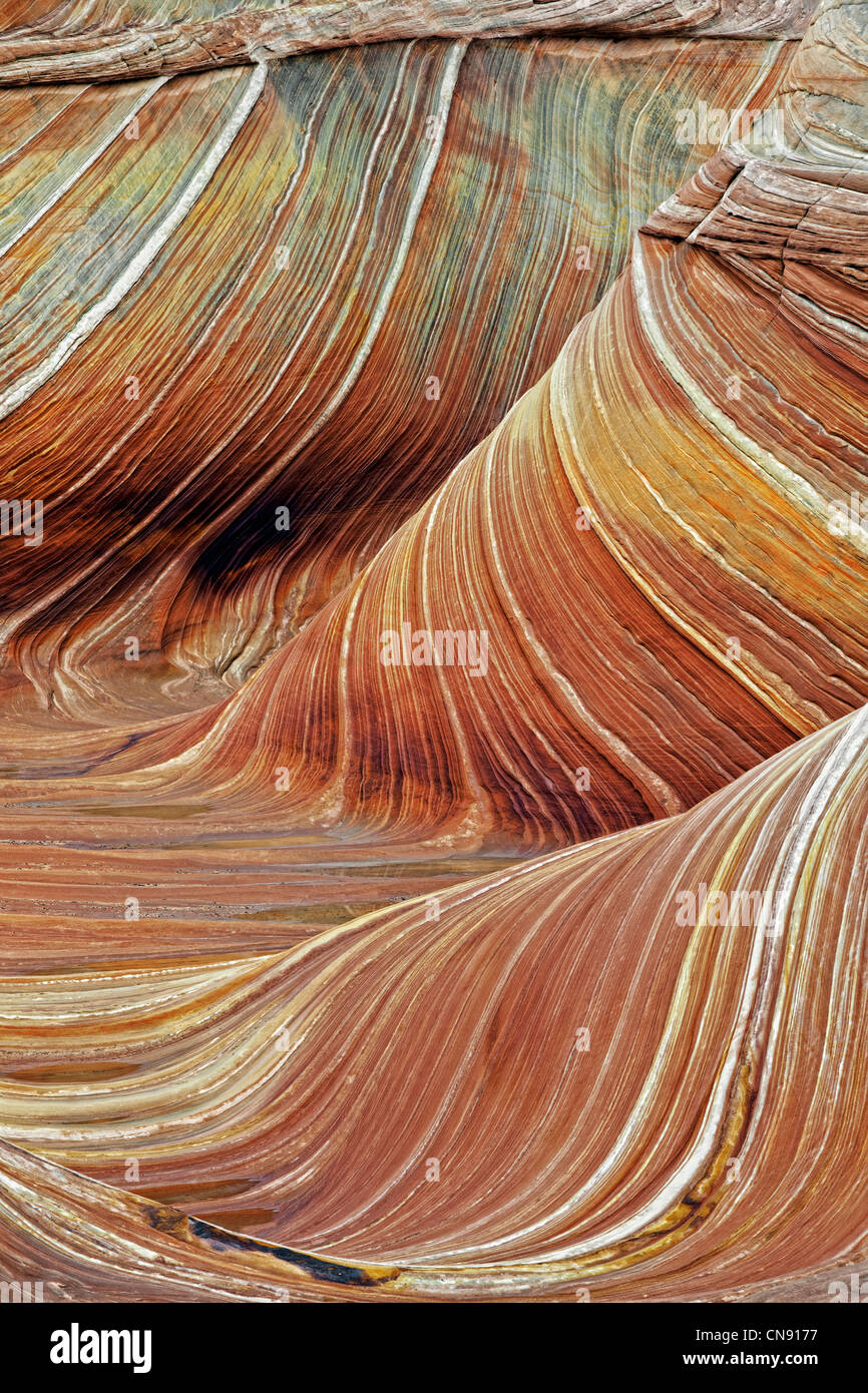 Undulating patterns hi-res stock photography and images - Alamy