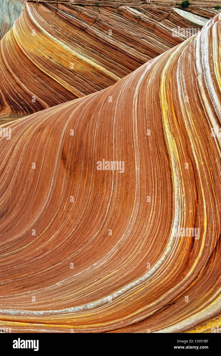 Undulating patterns hi-res stock photography and images - Alamy