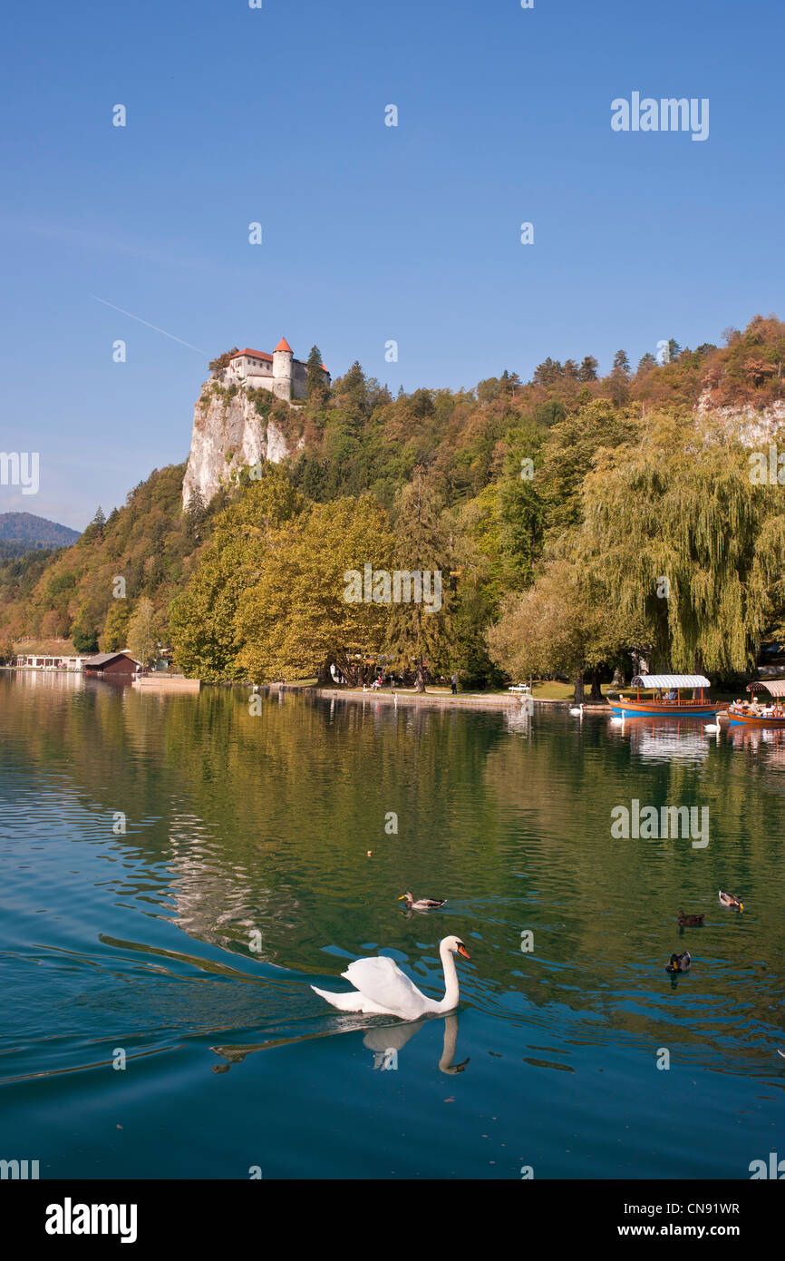 Slovenia, Gorenjska Region, Bled, the castle-museum Stock Photo - Alamy