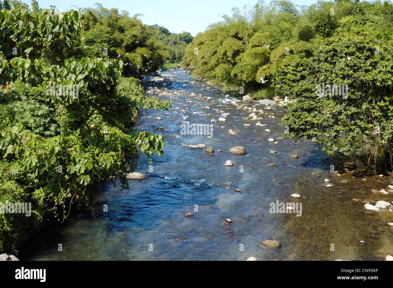 Ajoupa hi-res stock photography and images - Alamy