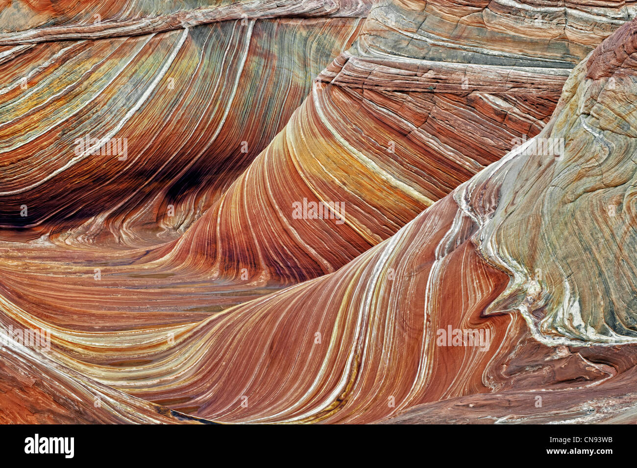 Spectacular colors of sandstone in undulating patterns at The Wave in ...