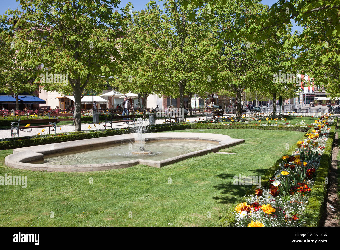Albi flora hi-res stock photography and images - Alamy
