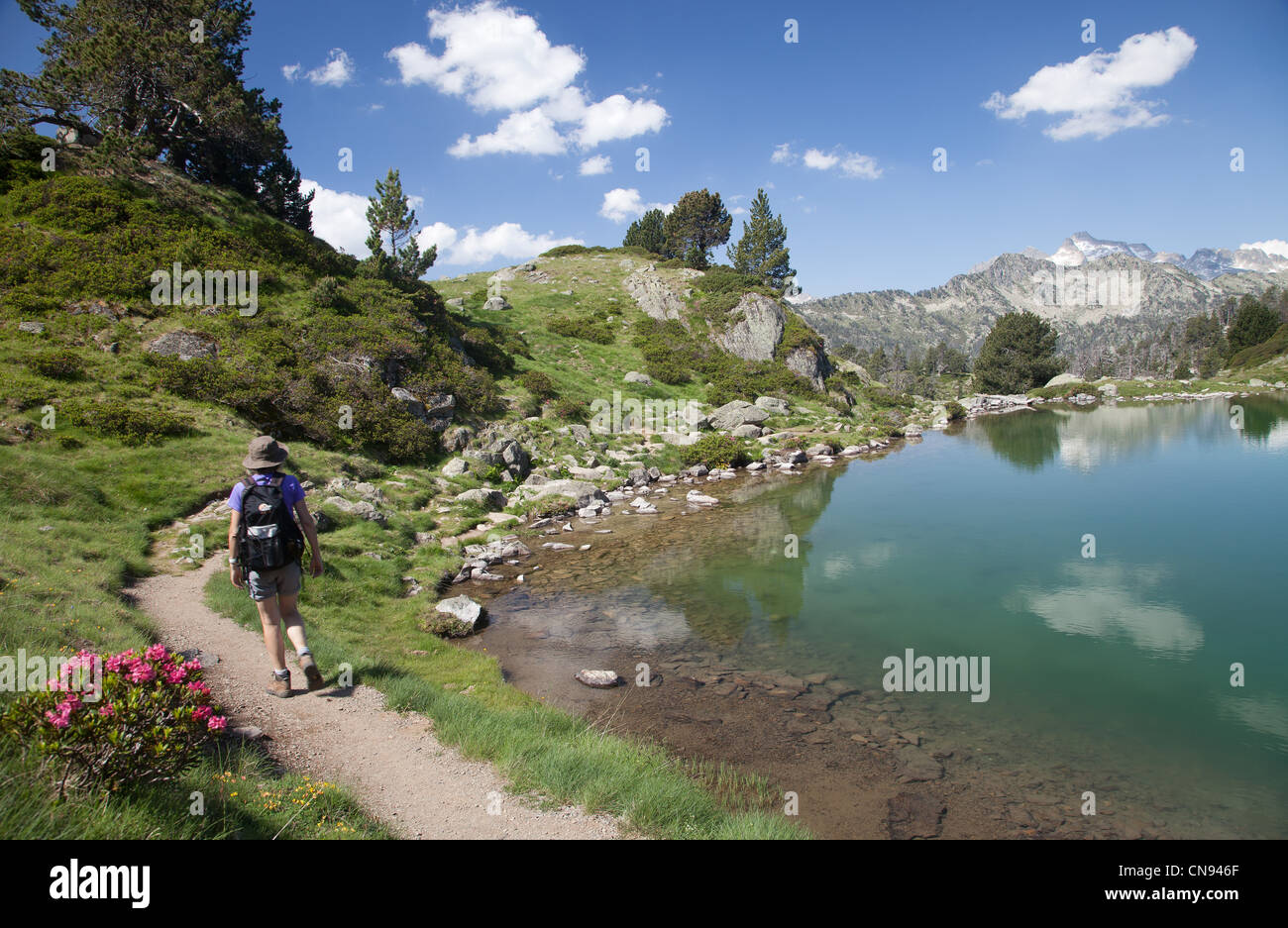 France, Hautes Pyrenees, Aragnouet, hiker near Bastan lake, Neouvielle ...