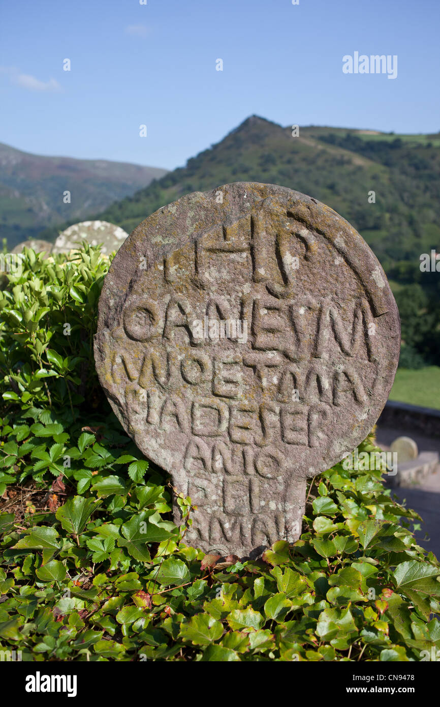 Discoidal hi-res stock photography and images - Alamy