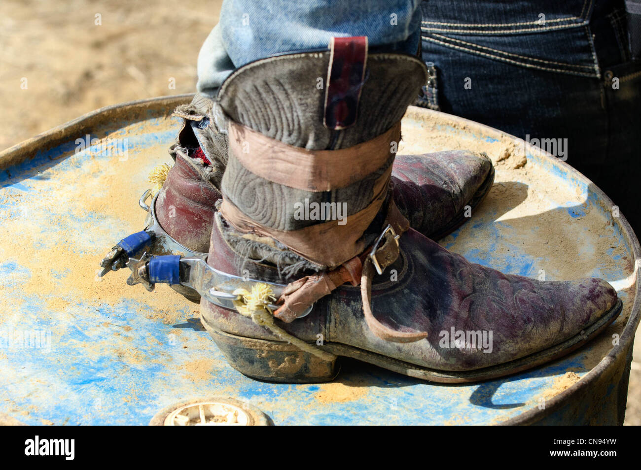 Cattle Wearing Cowboy Boots High Resolution Stock Photography and ...