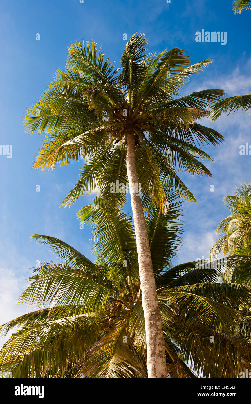 Panama, San Blas archipelago, Kuna Yala autonomous territory, Ailigandi ...