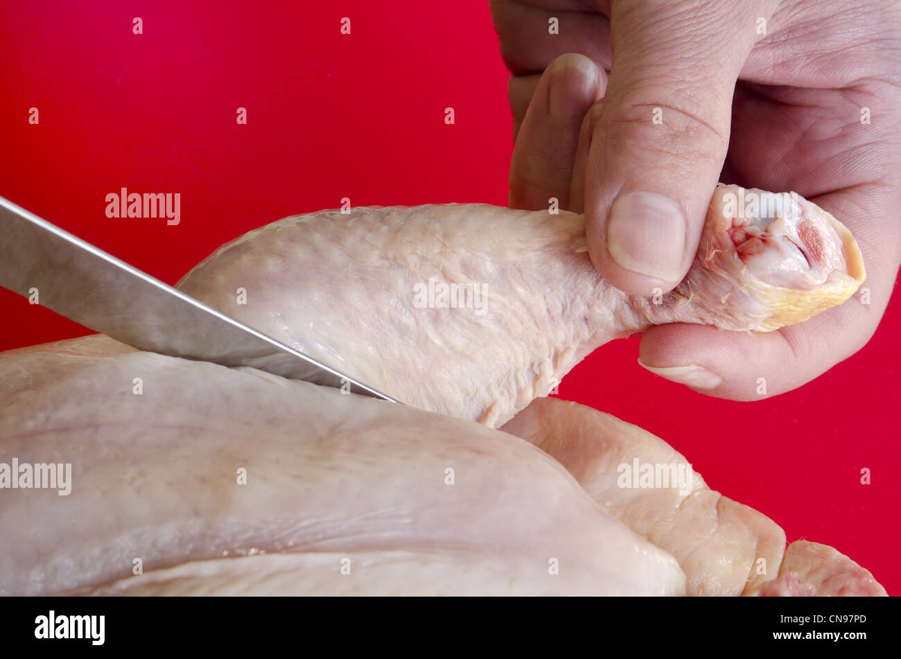 a chicken leg is separated on a colour coded board Stock Photo - Alamy