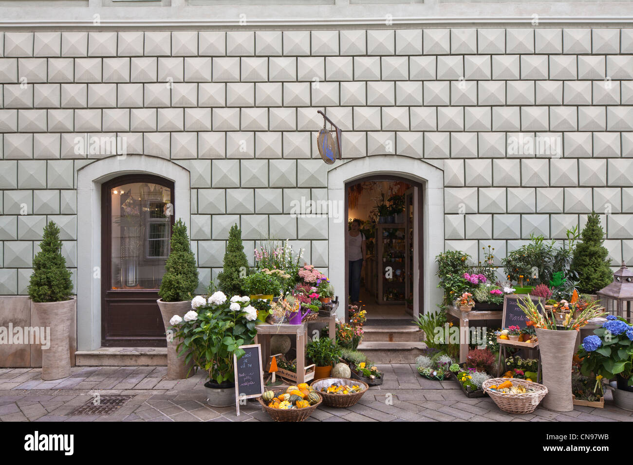 Slovakia, Bratislava, Historic neighborhood, Radnicna Street, a flower ...
