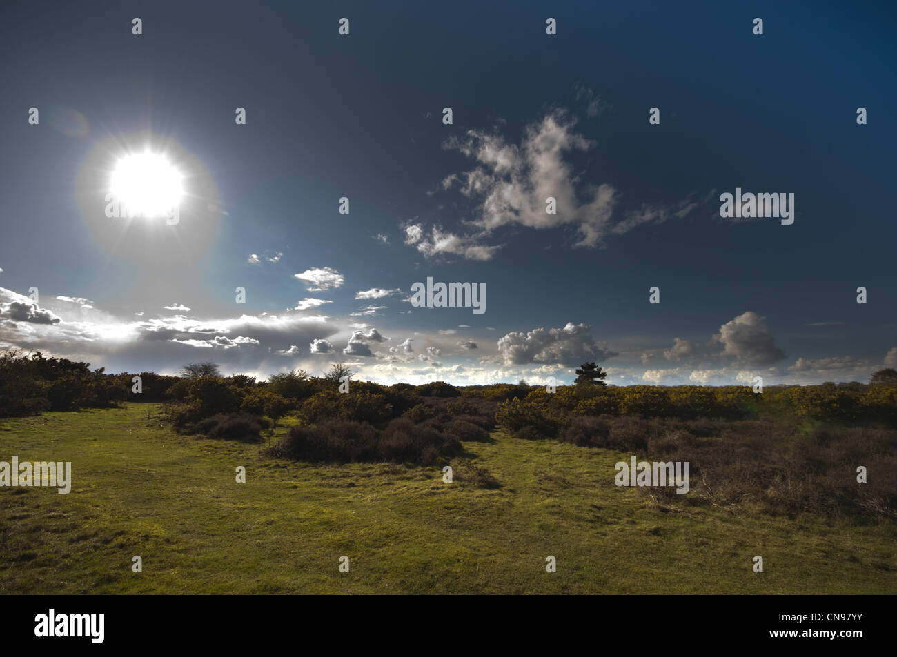 Heathland brecks hi-res stock photography and images - Alamy