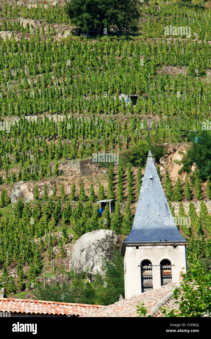 Vineyards of condrieu hi-res stock photography and images - Alamy