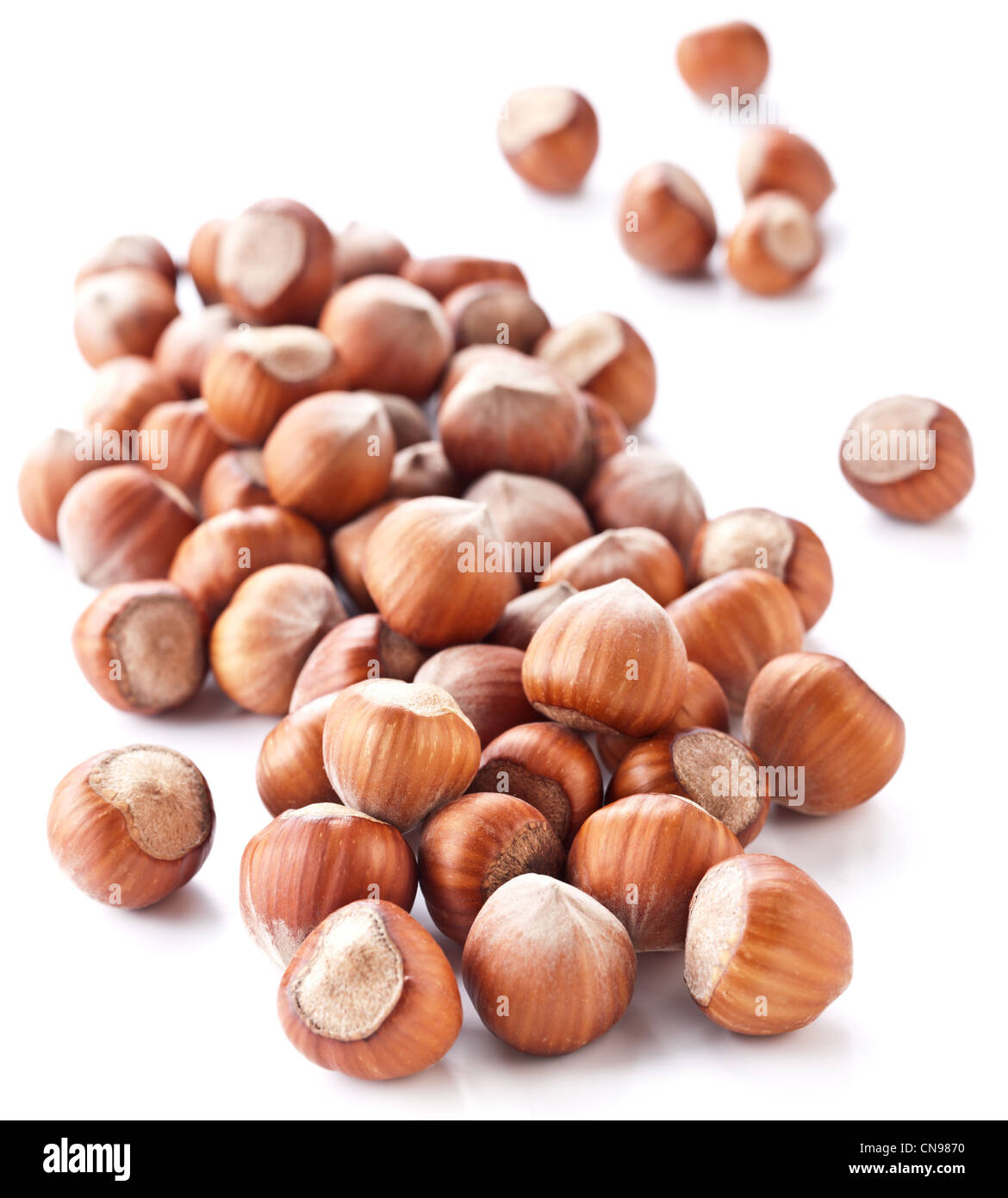 Hazelnut with blur background Cut Out Stock Images & Pictures - Alamy