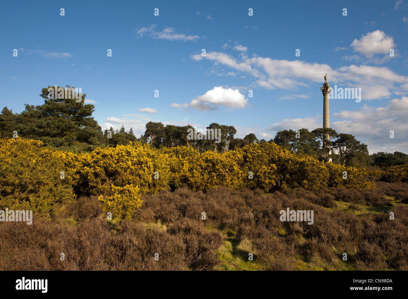 Elveden war memorial Stock Photo - Alamy
