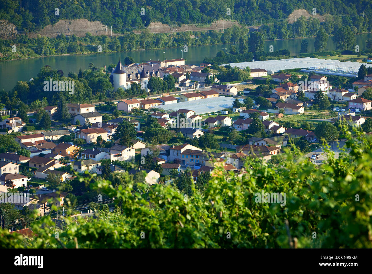 France, Rhone, Ampuis, the Rhone and Cote Rotie AOC vineyards Stock ...