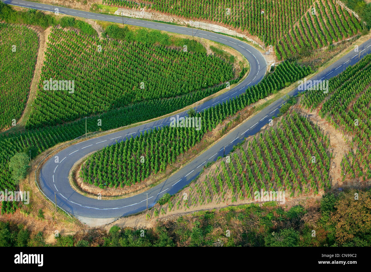 France, Rhone, Ampuis, Cote Rotie AOC vineyards (aerial view Stock ...