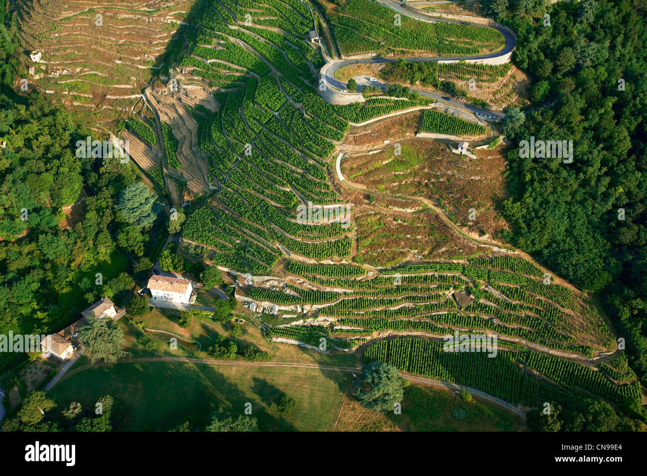 France, Rhone, Condrieu, Cote Rotie AOC vines (aerial view Stock Photo ...