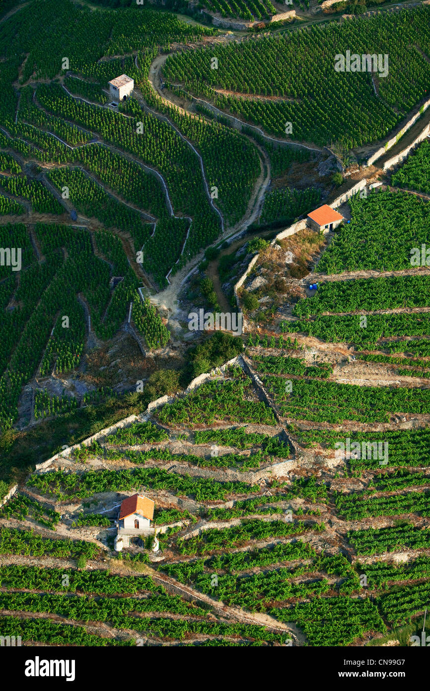 France, Rhone, Condrieu, Cote Rotie AOC vines (aerial view Stock Photo ...