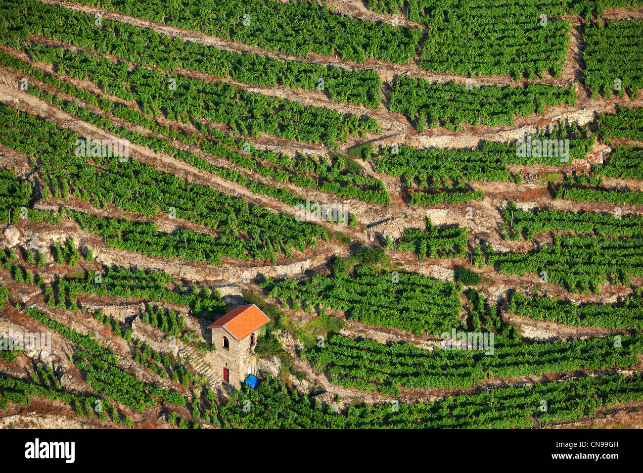 France, Rhone, Condrieu, Cote Rotie AOC vines (aerial view Stock Photo ...