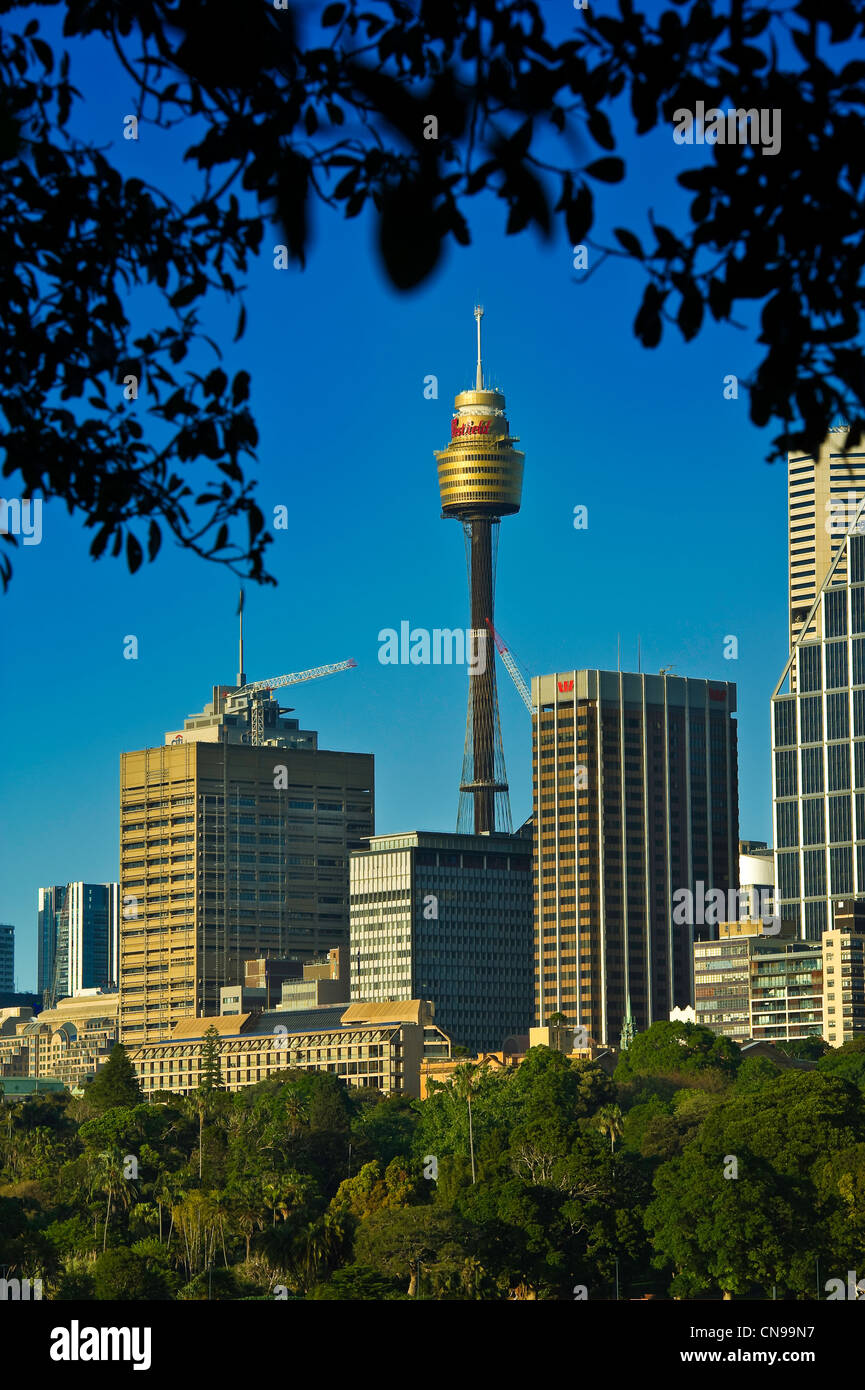 Amp building sydney hi-res stock photography and images - Alamy