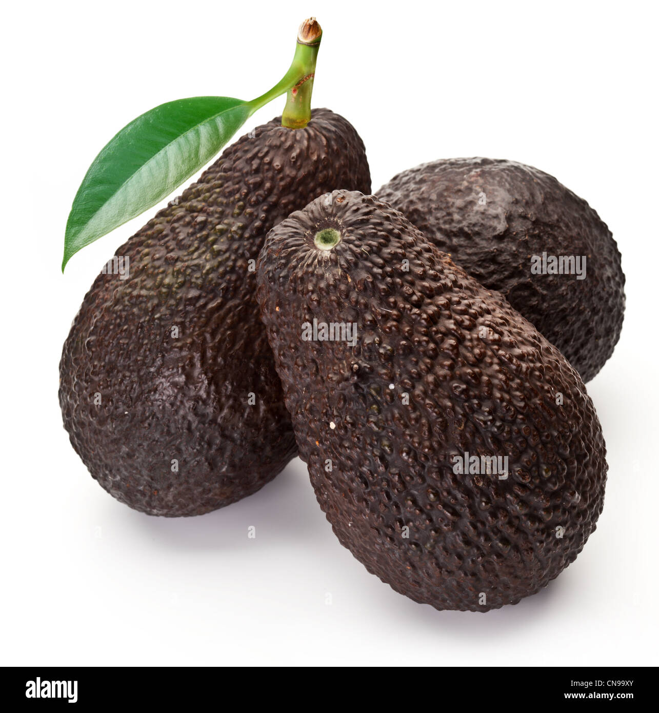 Avocado hi-res stock photography and images - Alamy