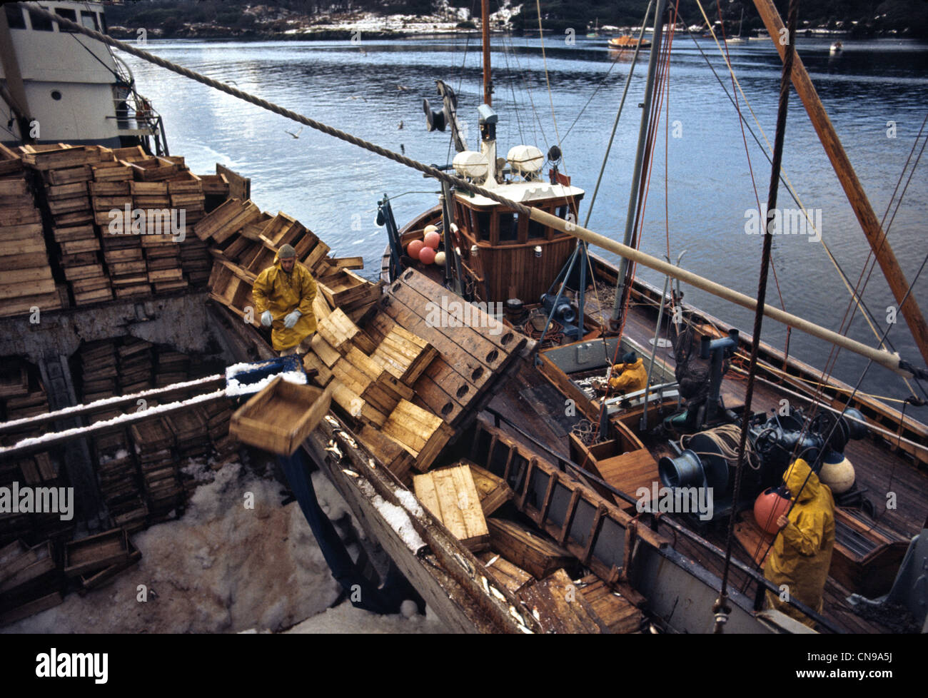fishing boat docking and unloading fish to dock Stock Photo - Alamy