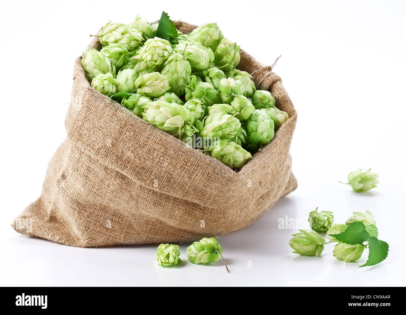 Hops hi-res stock photography and images - Alamy