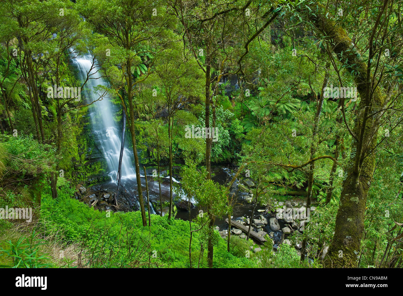 Australia, Victoria, Great Ocean Road, Great Otway National Park, Lorne ...
