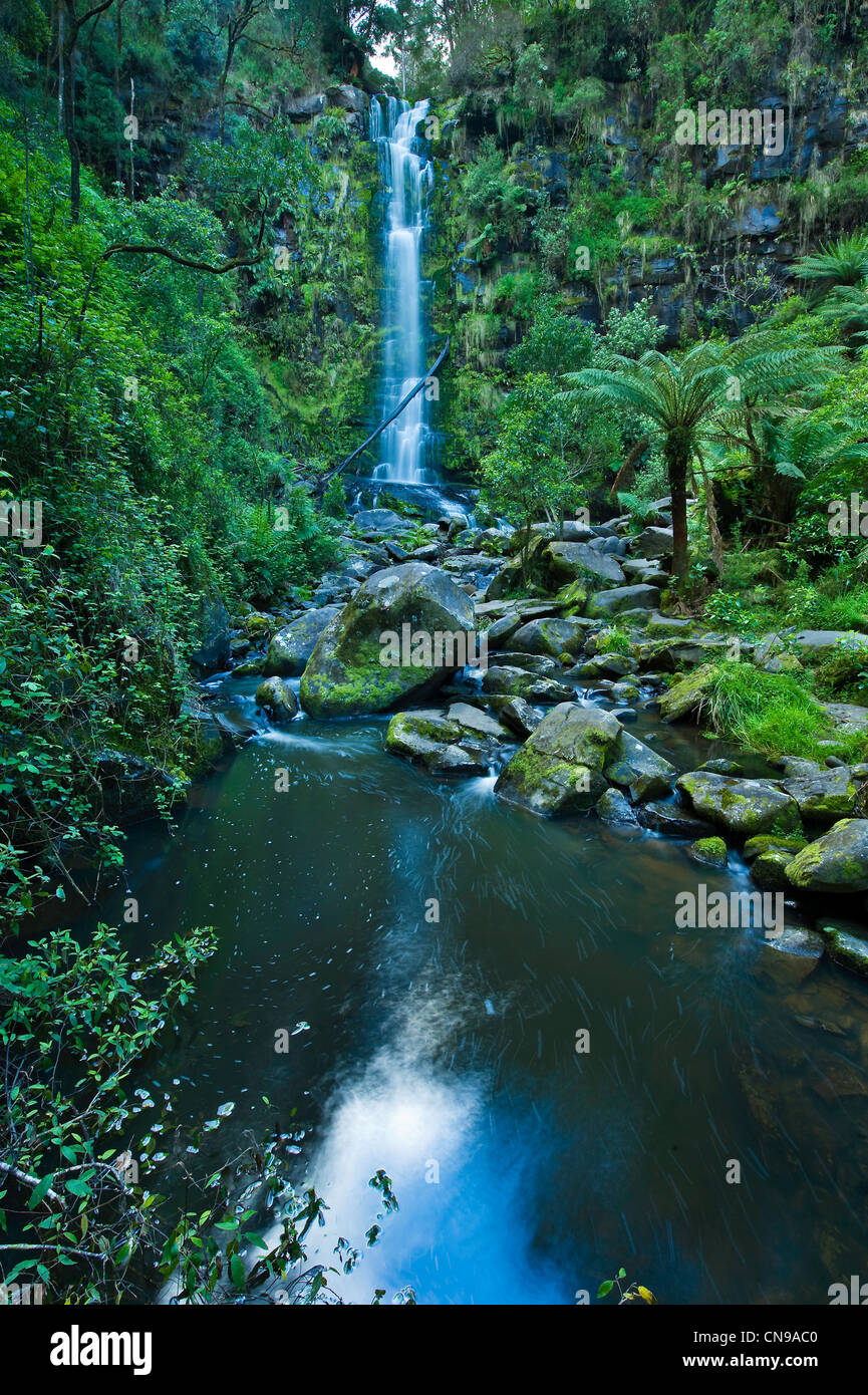 Australia, Victoria, Great Ocean Road, Great Otway National Park, Lorne ...