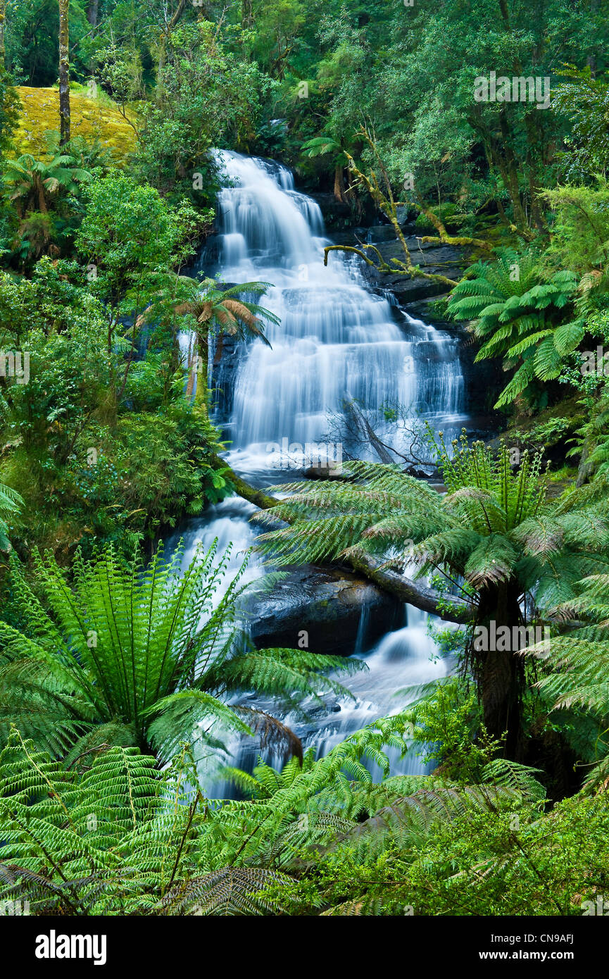 Australia, Victoria, Great Ocean Road, Great Otway National Park ...