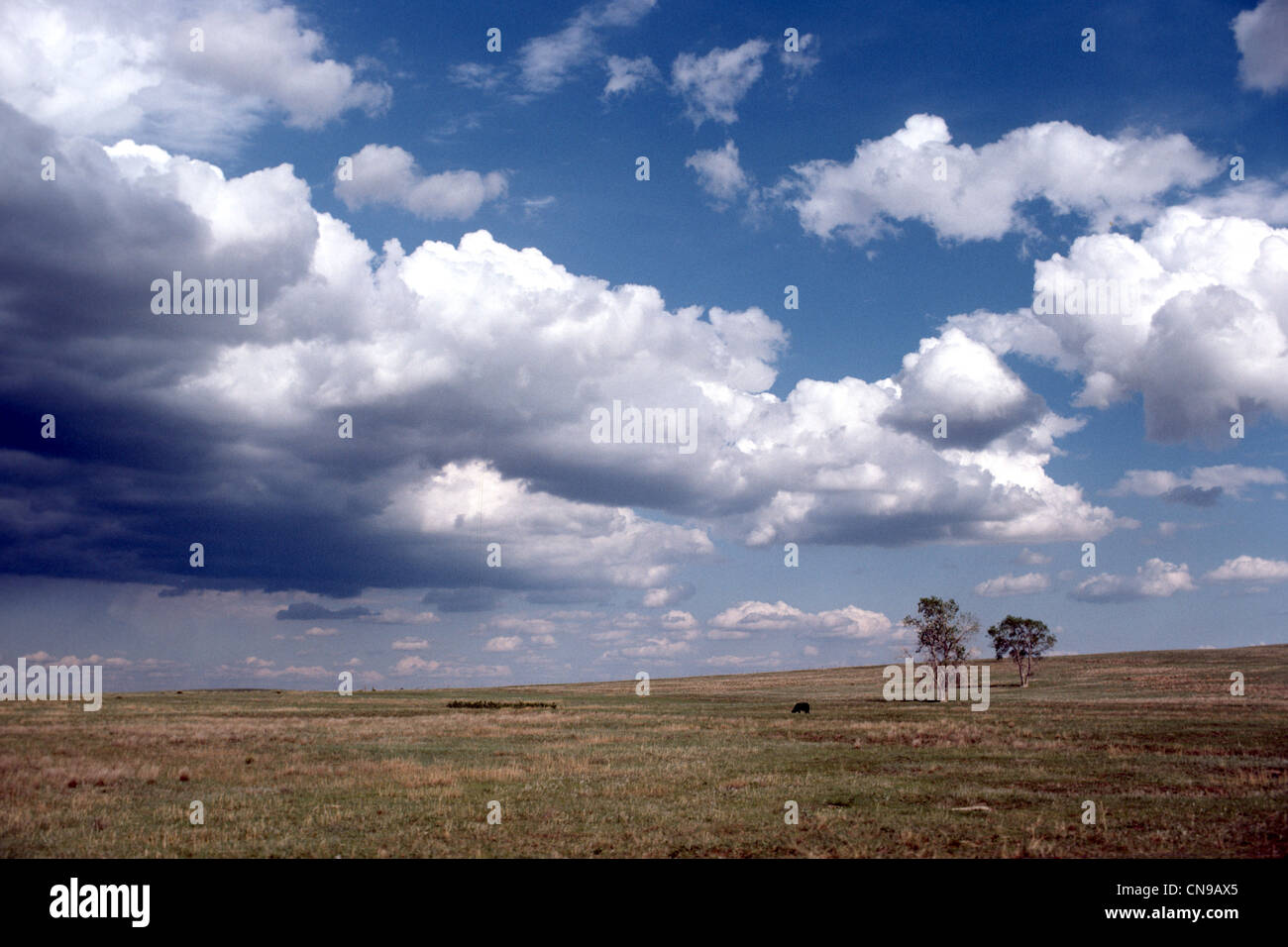 Stapleton nebraska hi-res stock photography and images - Alamy