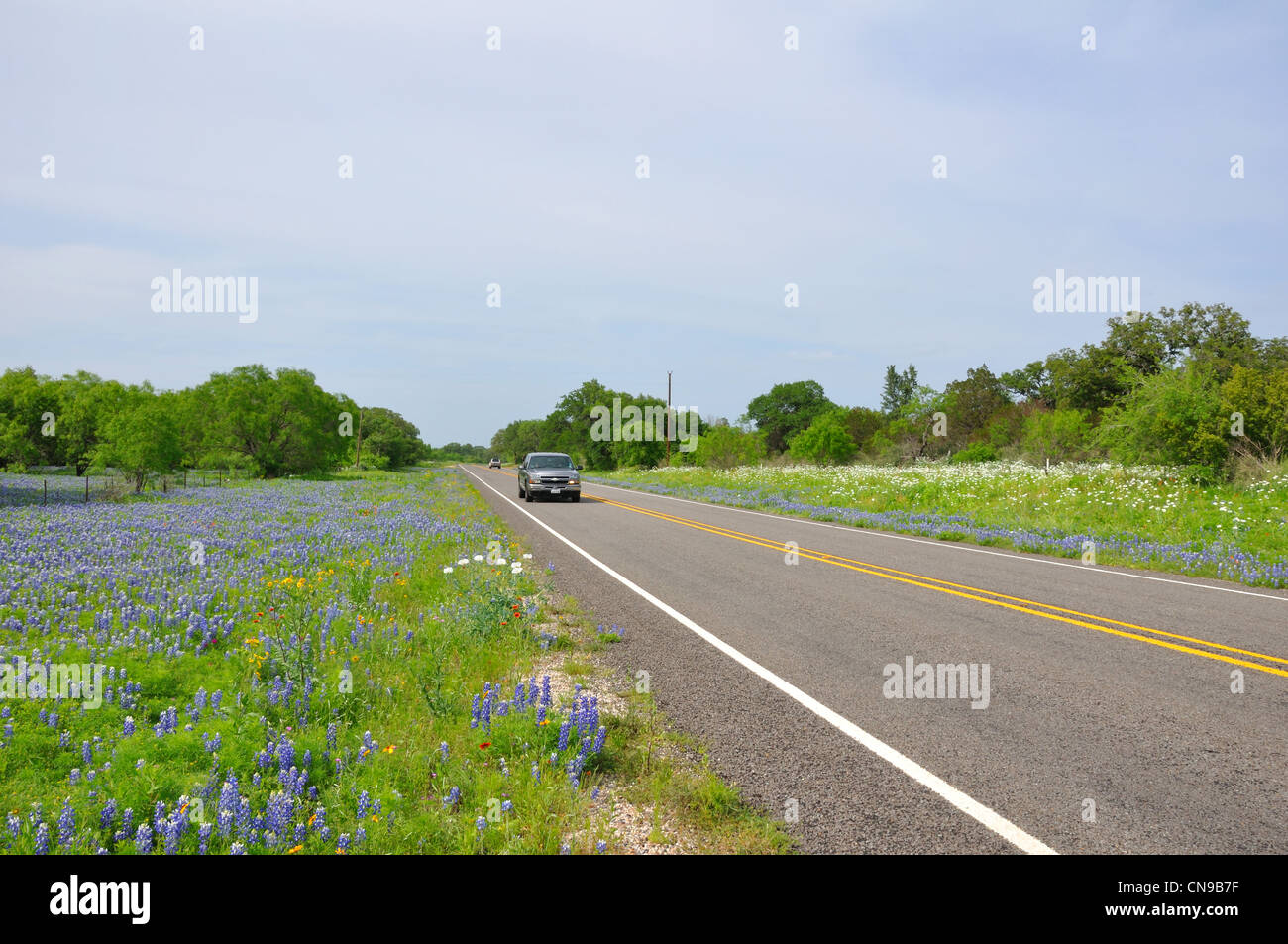 Scenic road and bluebonnets, Texas, USA Stock Photo - Alamy