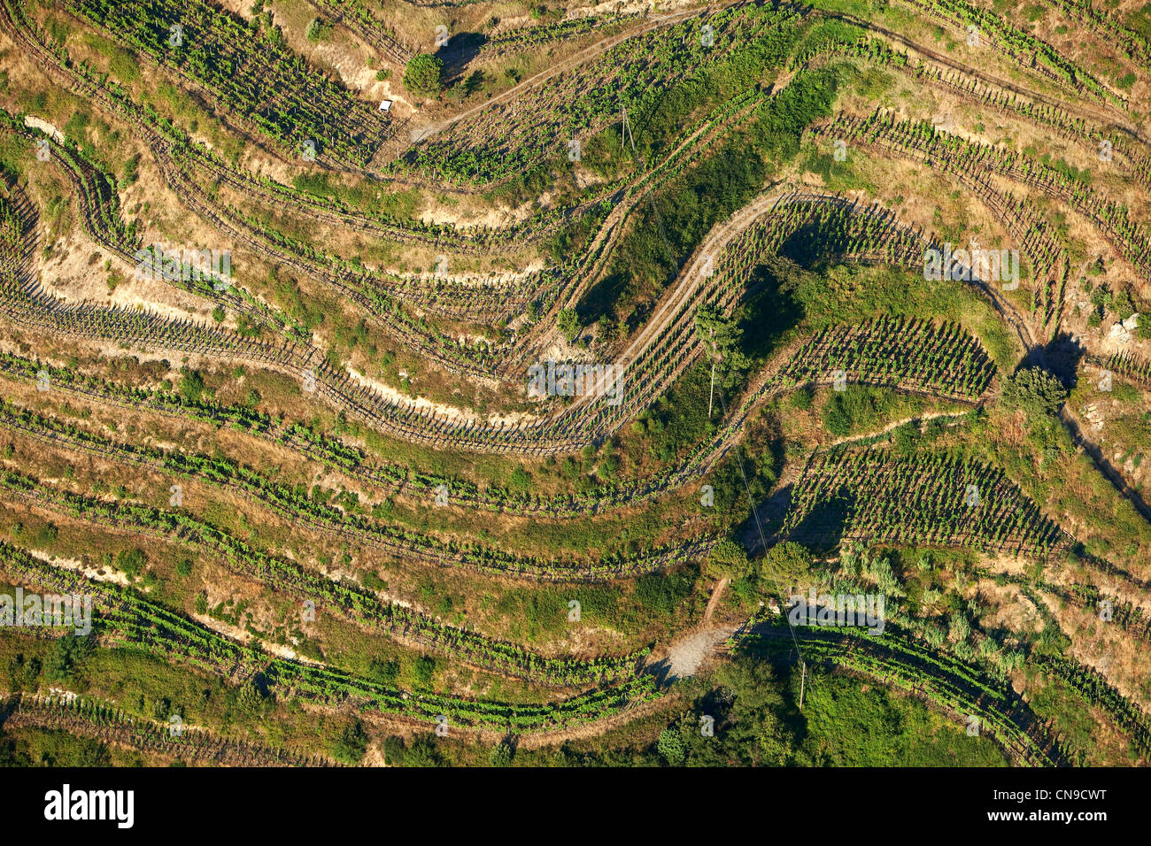 Cornas High Resolution Stock Photography and Images - Alamy