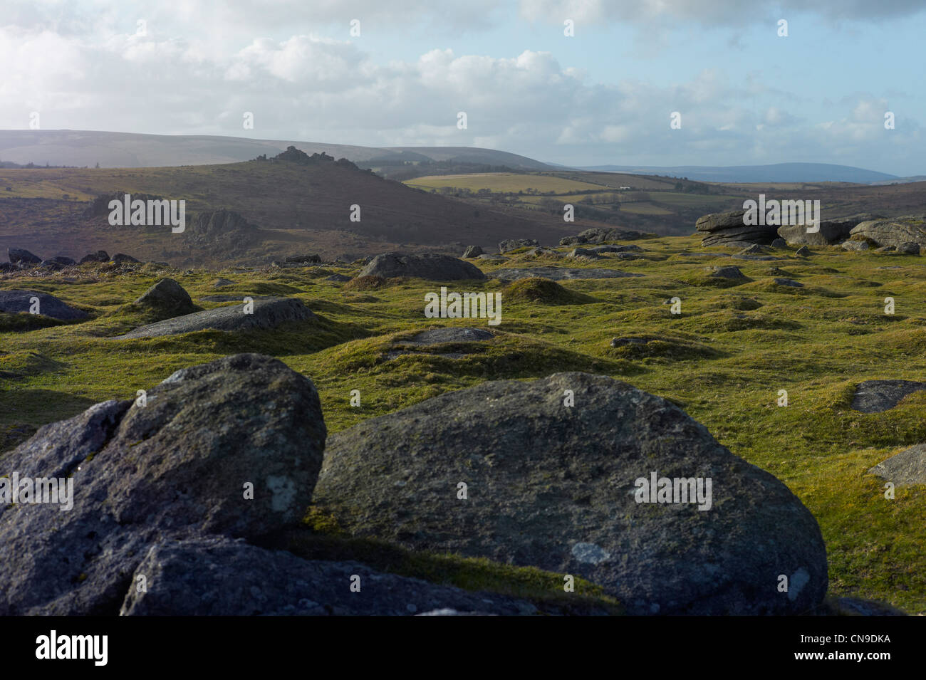 Granit Slabs and rocks with Haytor in background Dartmoor National Park ...