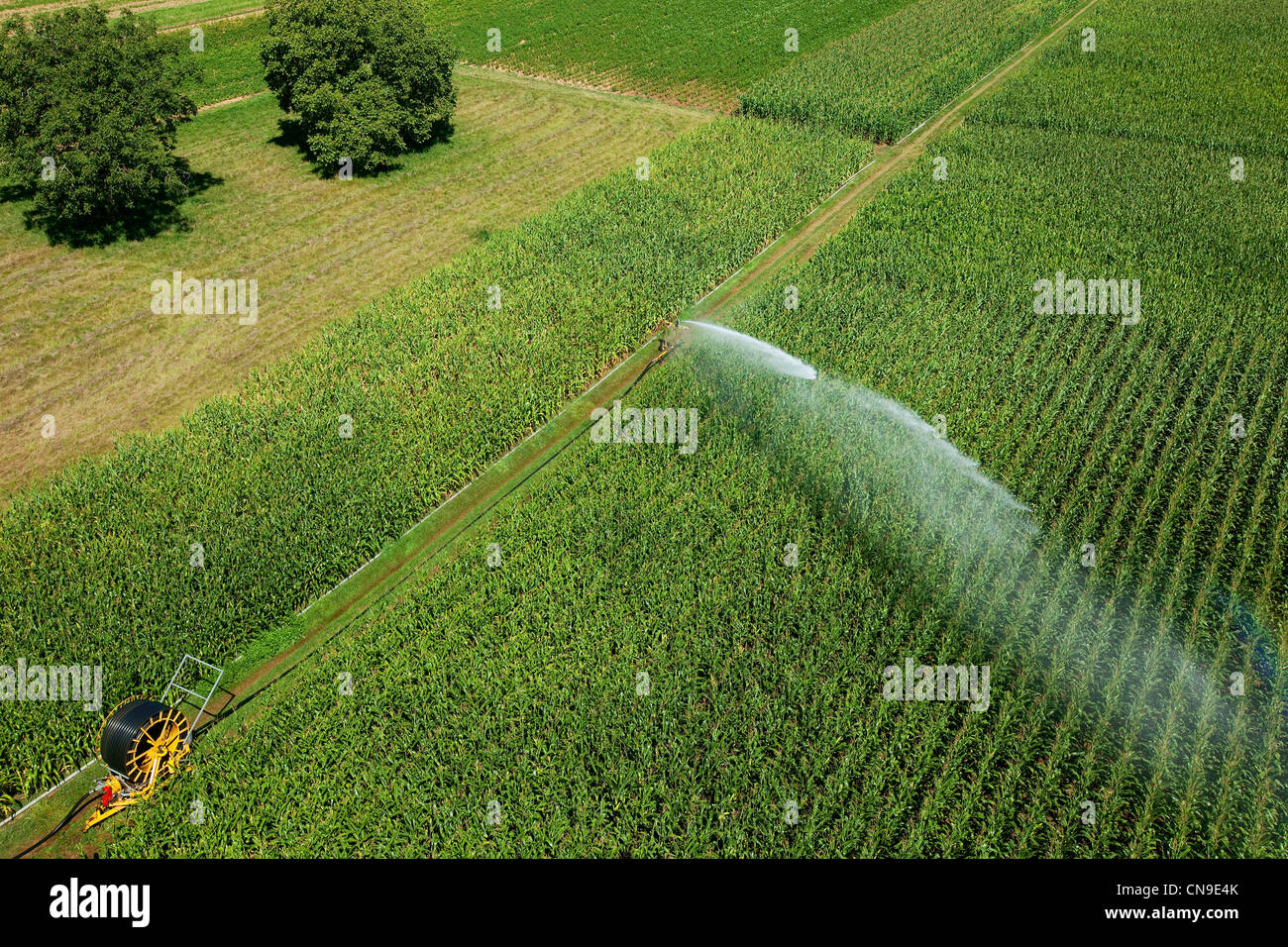 Corn Field Aerial High Resolution Stock Photography and Images - Alamy