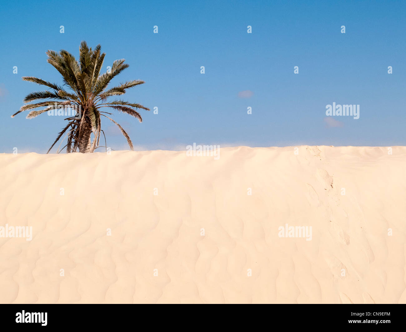 Desert landscape of dunes in Douz,Tunisia Stock Photo - Alamy