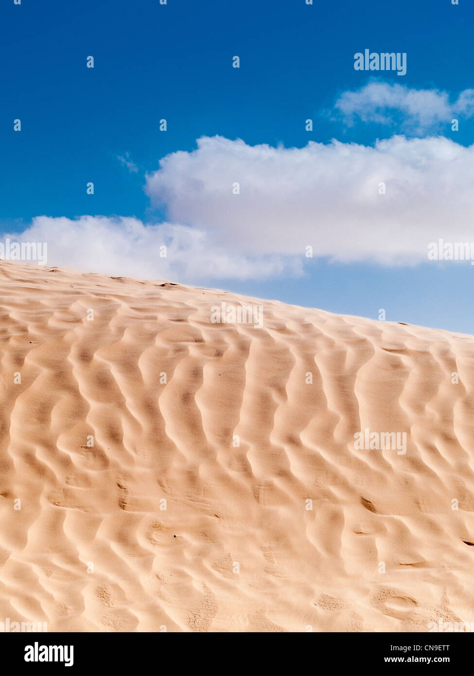 Desert landscape of dunes in Douz,Tunisia Stock Photo - Alamy