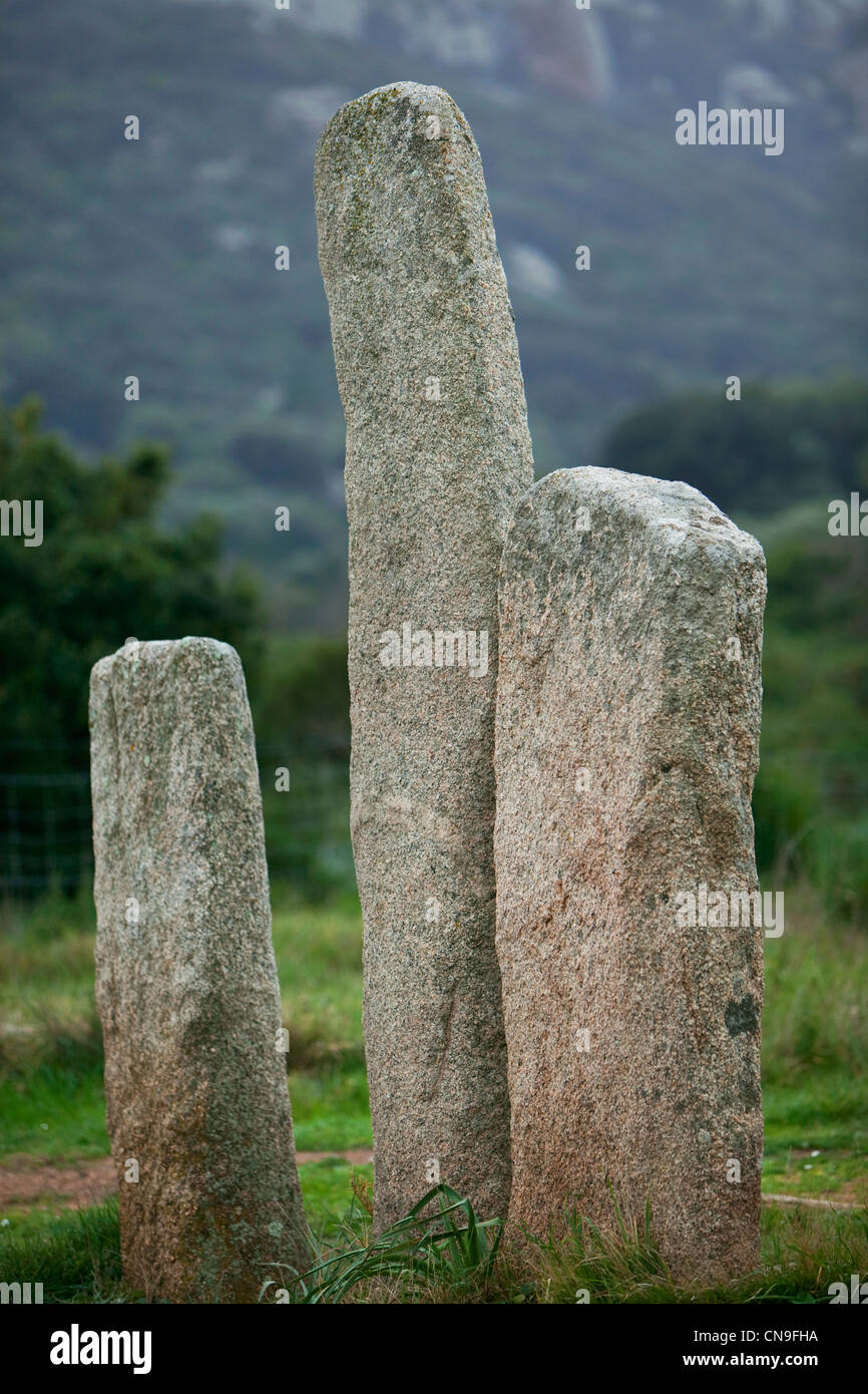 Stantari stone alignment hi-res stock photography and images - Alamy