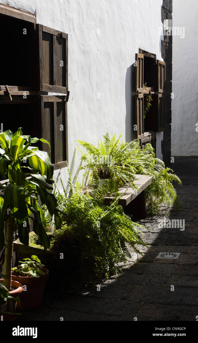 Timple hi-res stock photography and images - Alamy