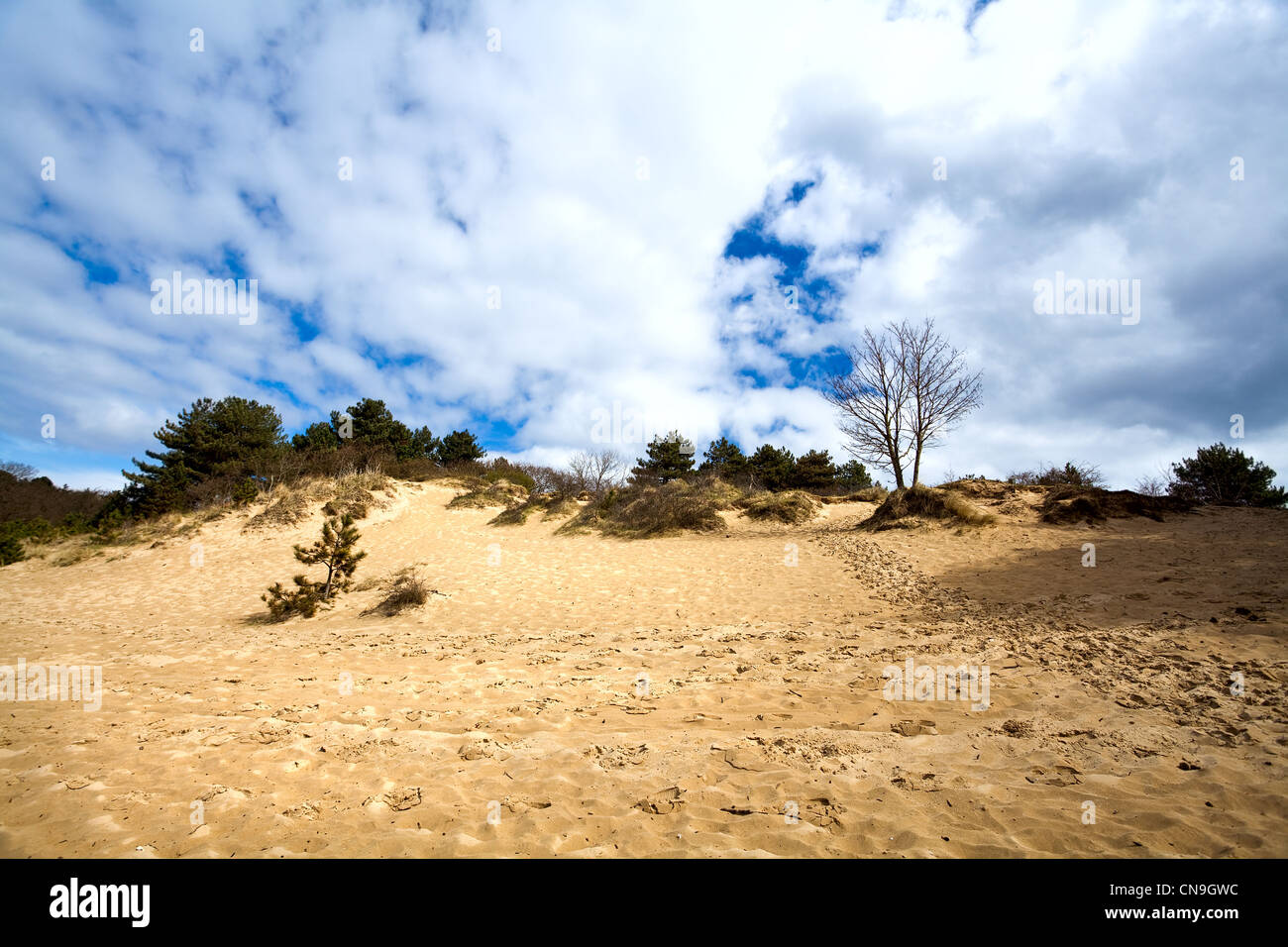 sandy hill with trees on horizon and blue sky with clouds Stock Photo ...