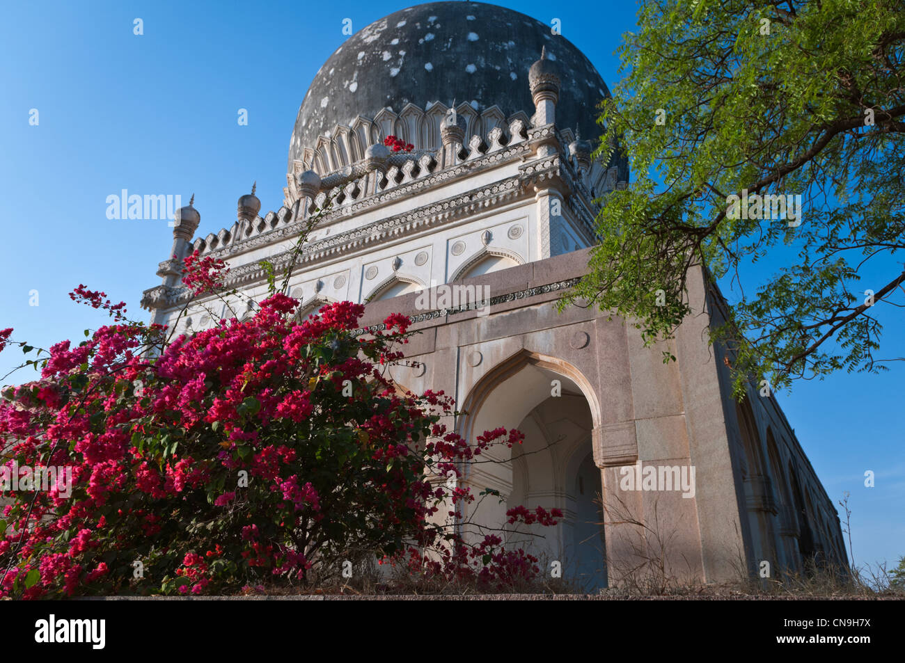 Qutb Shahi Tombs near Golconda Fort Hyderabad Andhra Pradesh India ...