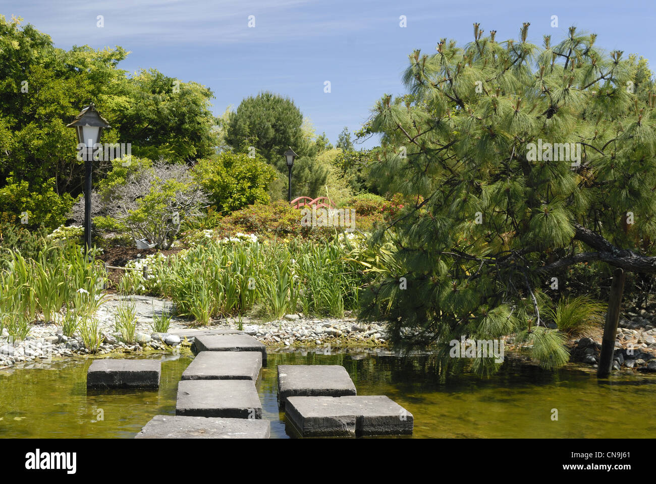 Miyazu Japanese Garden, Nelson, New Zealand Stock Photo - Alamy