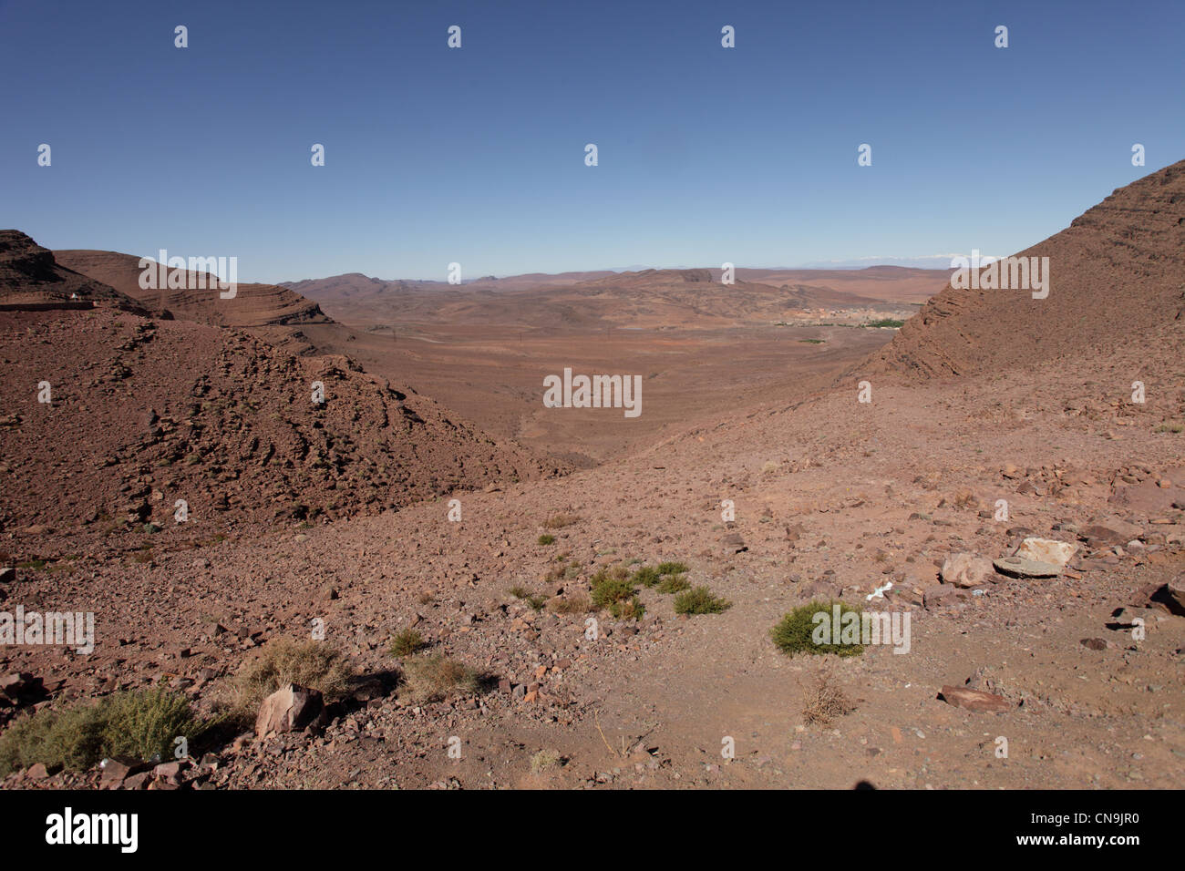 The dry and rocky surface in the Sahara desert in southern Morocco ...
