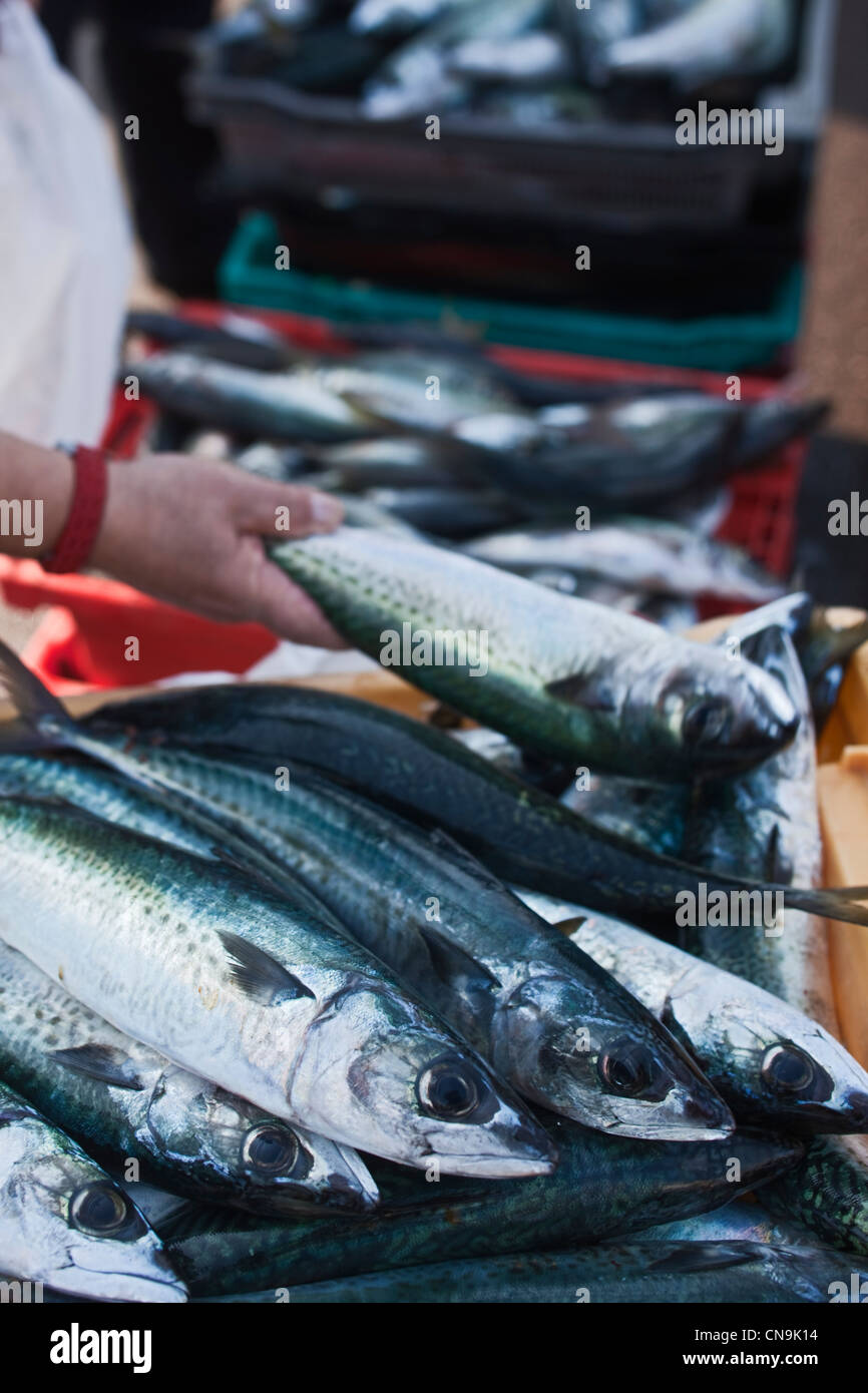 France, Bouches du Rhone, Marseille fish market on the Old Port, Dock ...