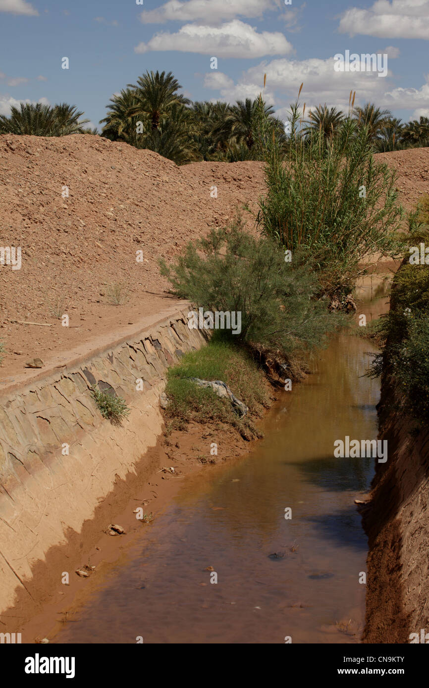 Sahara oasis irrigation hi-res stock photography and images - Alamy