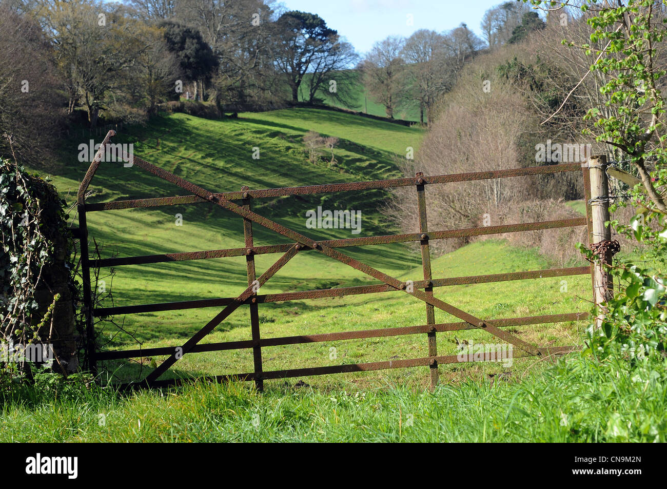 metal five bar fence,greenway,devon,Devon field, field boundary,trees ...