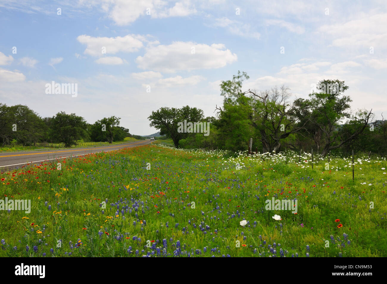 Scenic road and bluebonnets, Texas, USA Stock Photo - Alamy