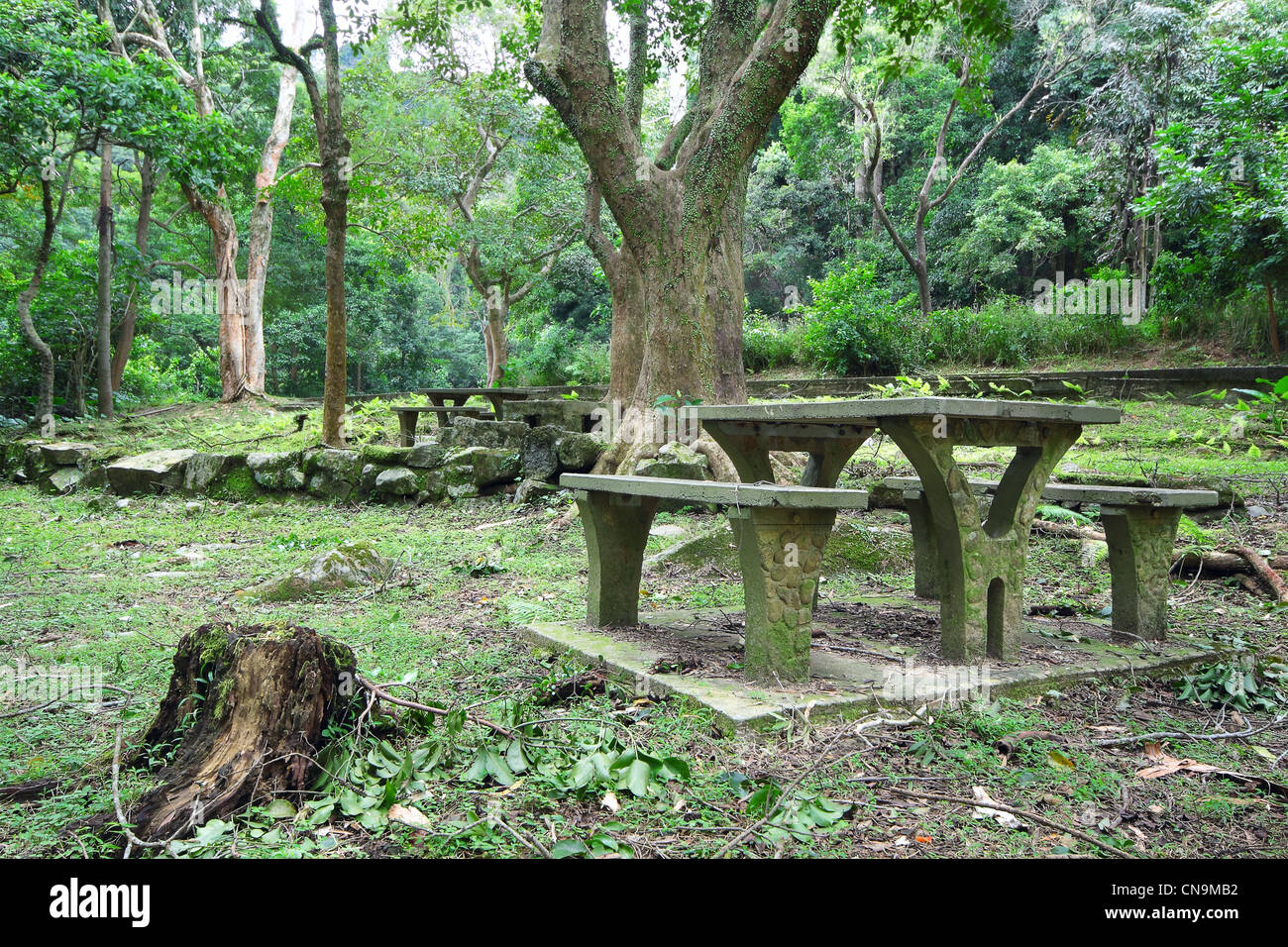 Picnic place in forest Stock Photo - Alamy